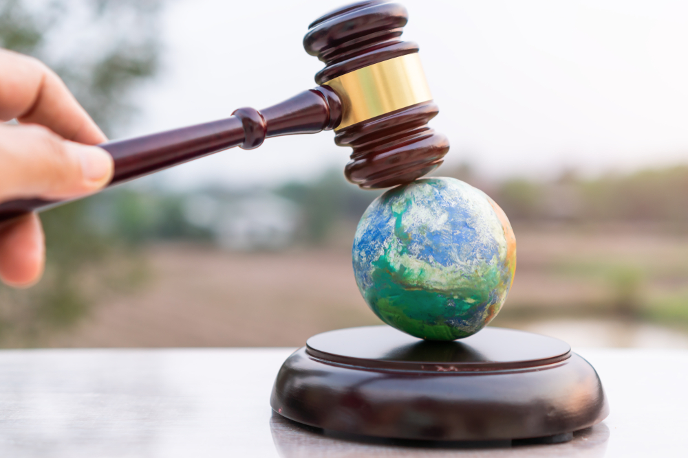4 Important Aspects of Environmental Law You Must Know